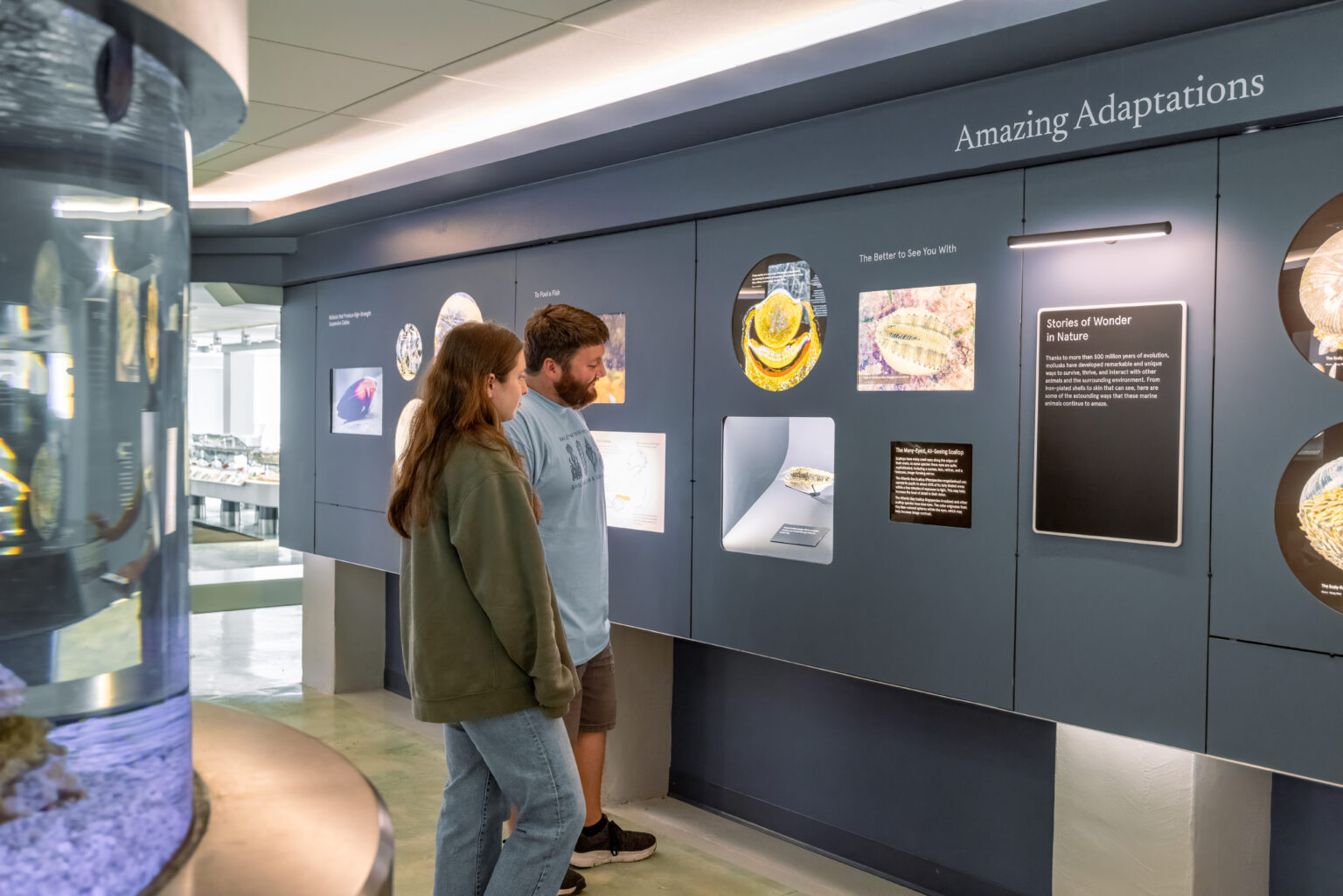 Museum Story - Bailey-Matthews National Shell Museum & Aquarium