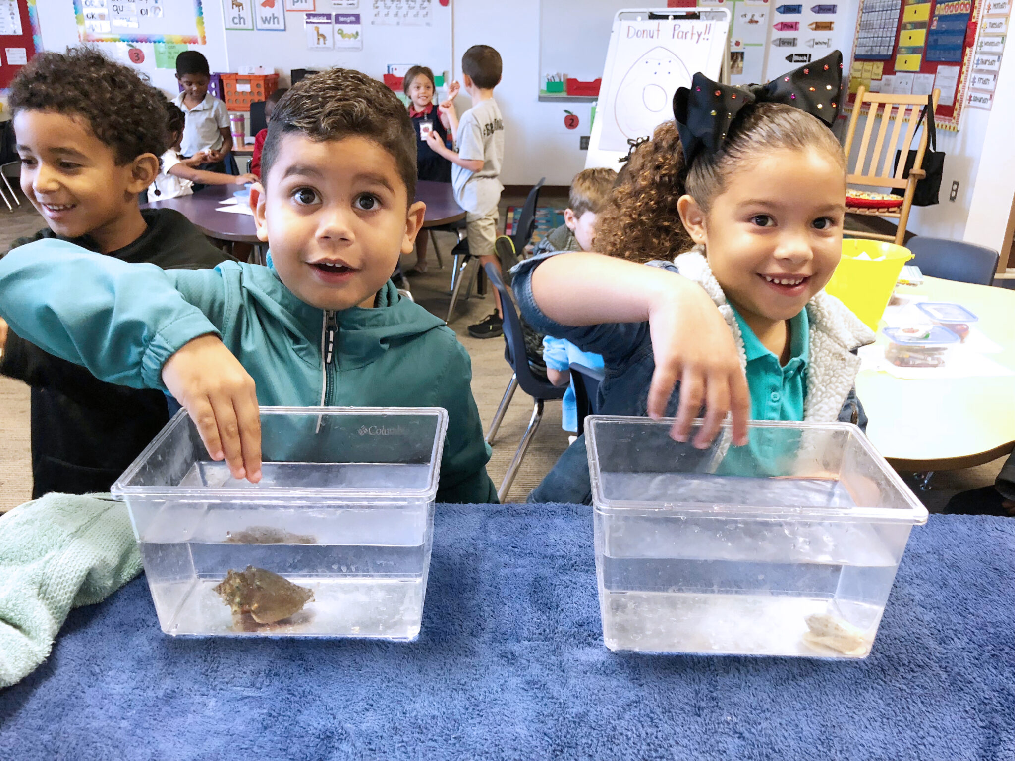 Adopt-A-Class - Bailey-Matthews National Shell Museum & Aquarium