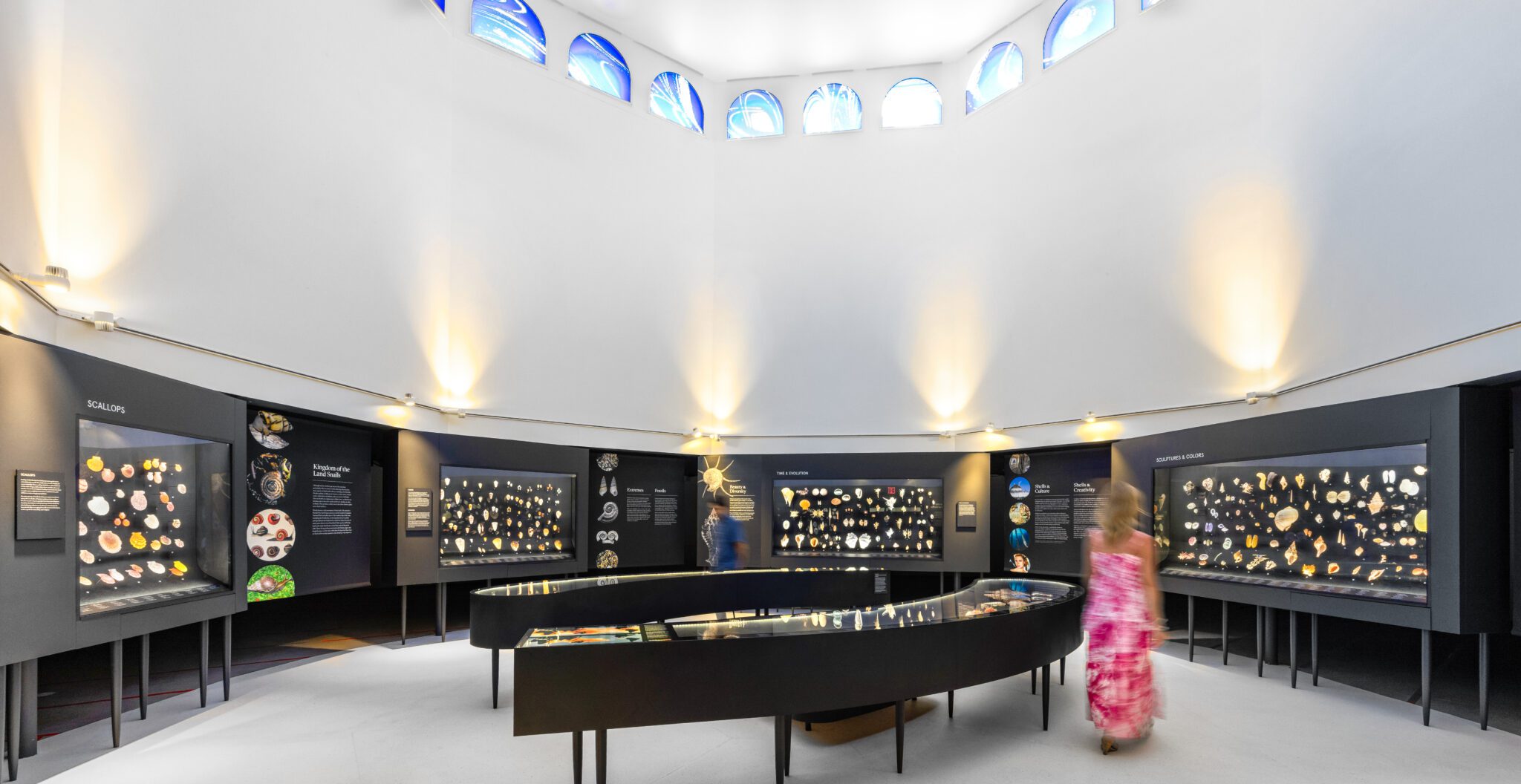 Exhibits - Bailey-Matthews National Shell Museum