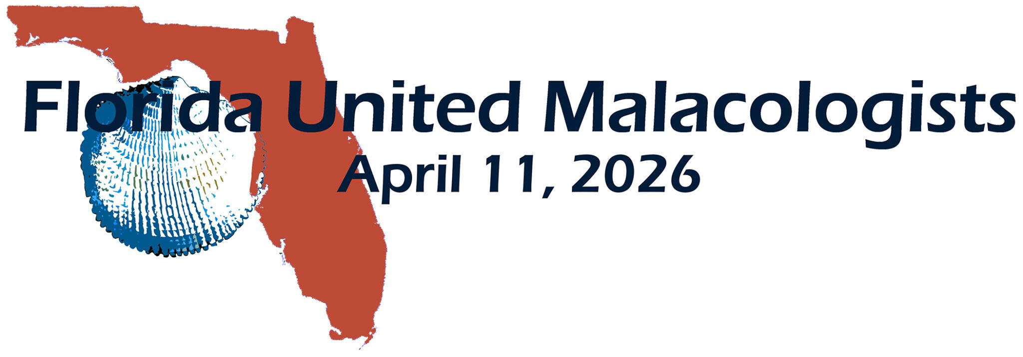 Shell of the Week: The Giant Eastern Murex - Bailey-Matthews National ...